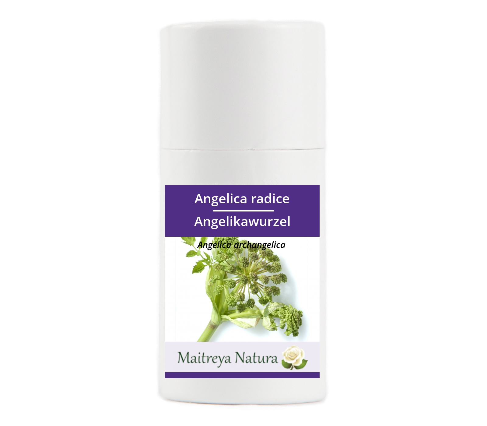 Olio essenziale di Angelica radice | Maitreya Natura